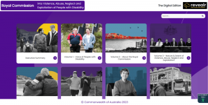 Disability Royal Commission Report Fully Accessible